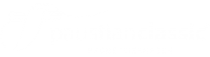 Ihr Autohaus in Probsteierhagen | Autohaus Paustian